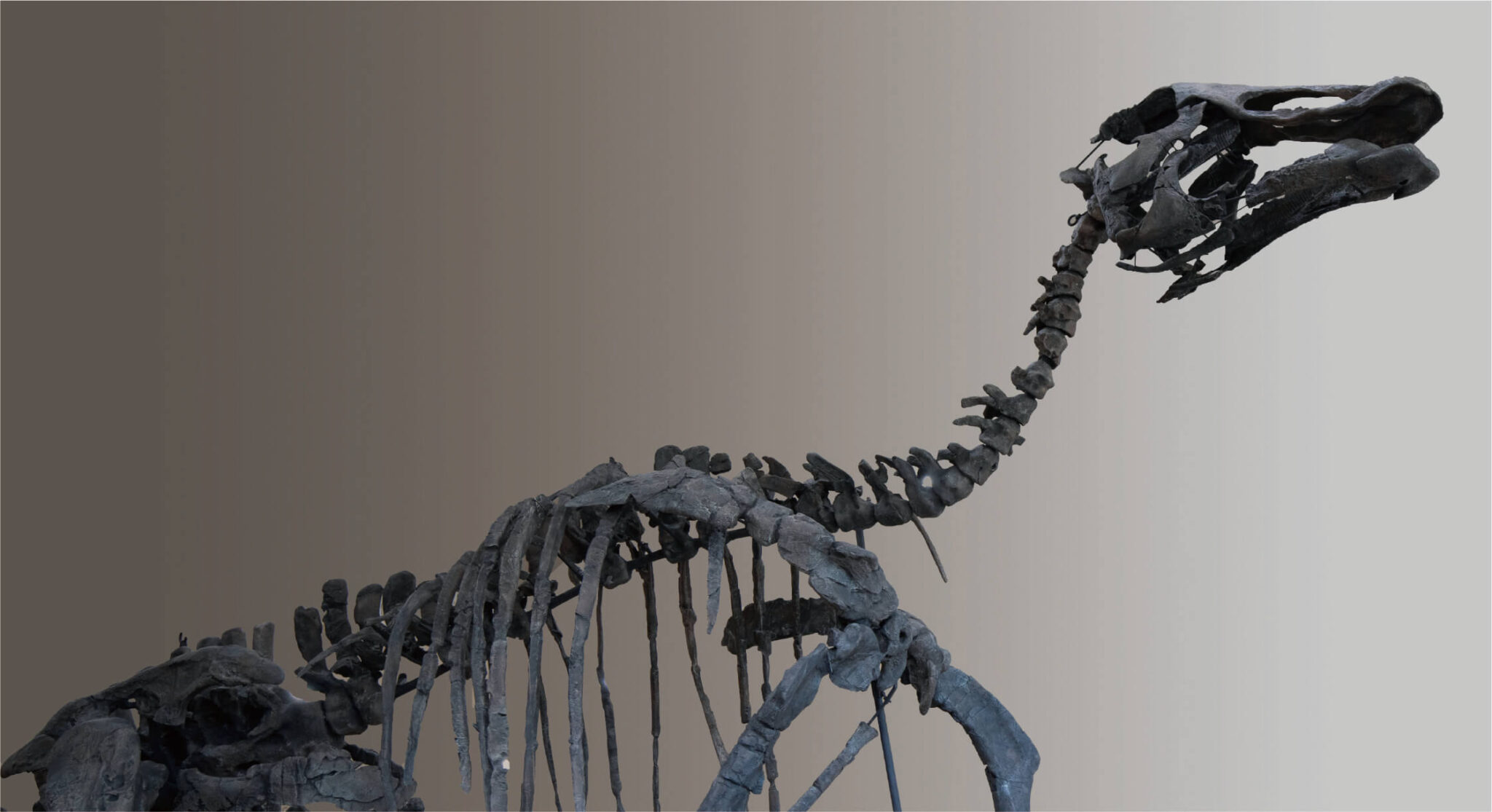 The Five Great Heritages of Iburi